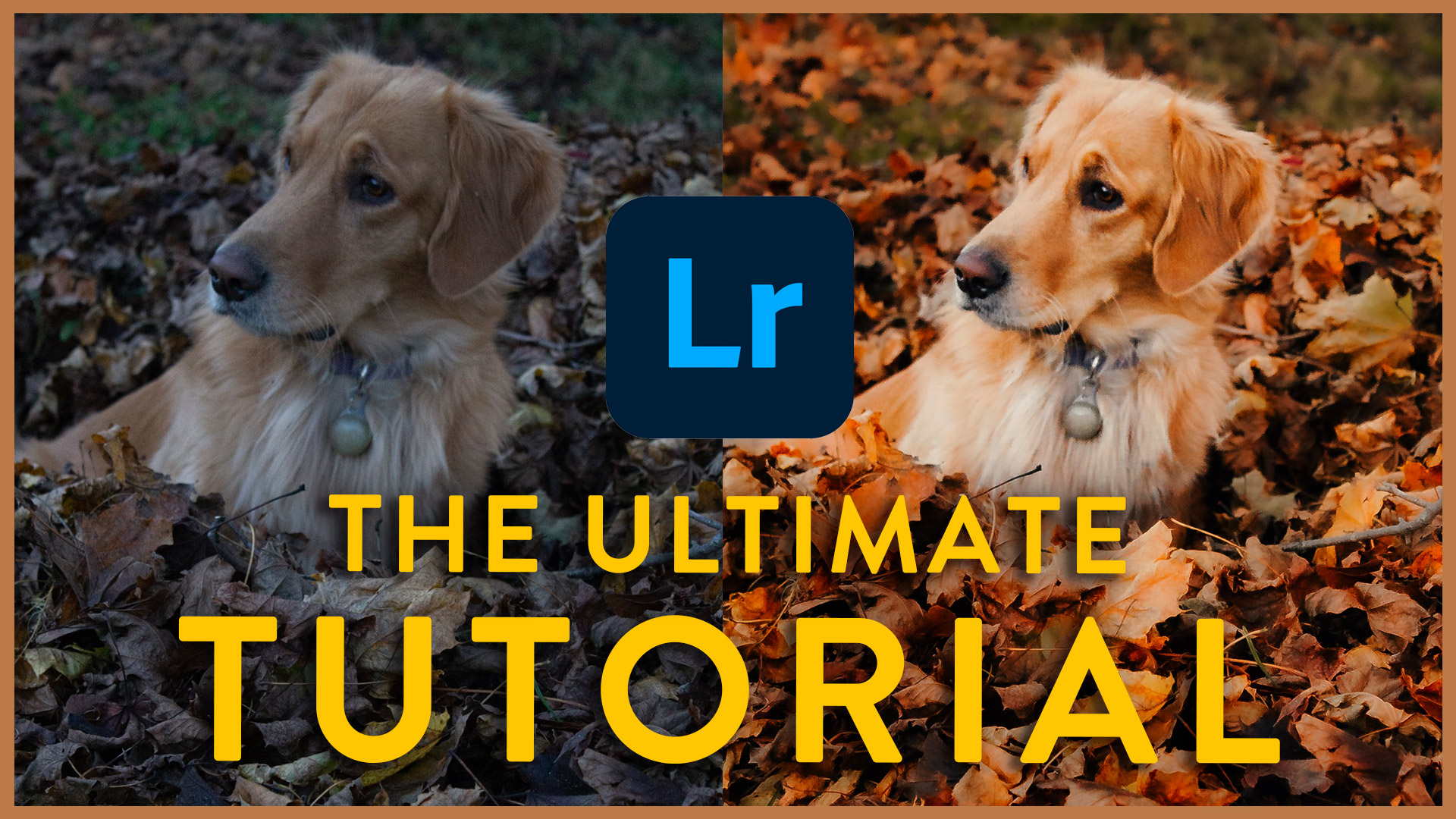 Free Practice Raw Files